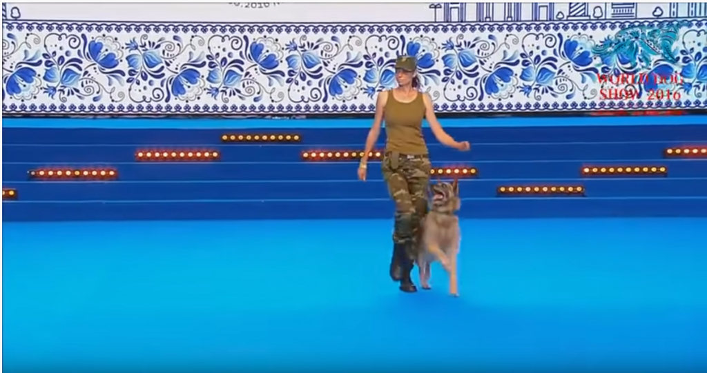 Green Dog Pet Supply - Fun Video of Canine Freestyle Dancing