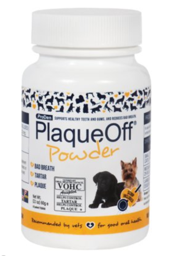 Green Dog Pet Supply - Alternative Ways To Maintain Dental Health